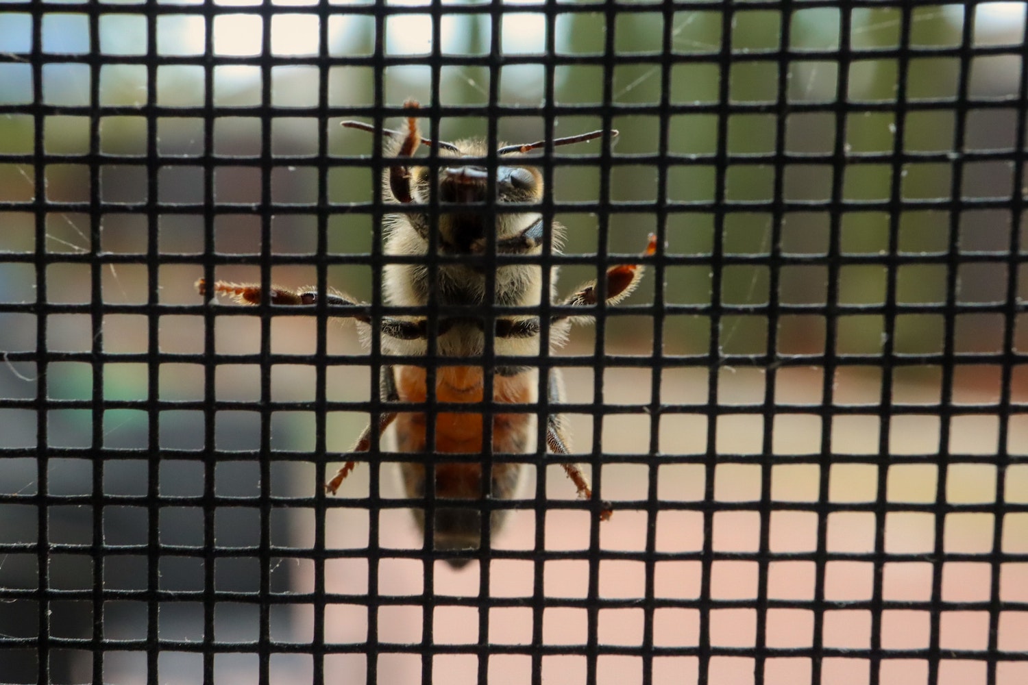 11 Best Insect Screen Companies in Singapore [Updated 2023]